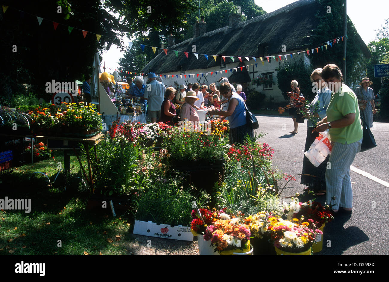 Village fete hi-res stock photography and images - Alamy