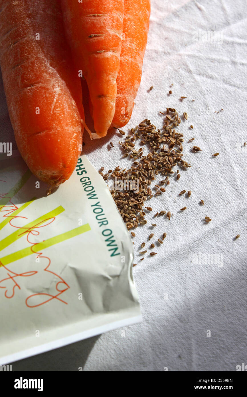Carrot Seed Images at Clara Moran blog