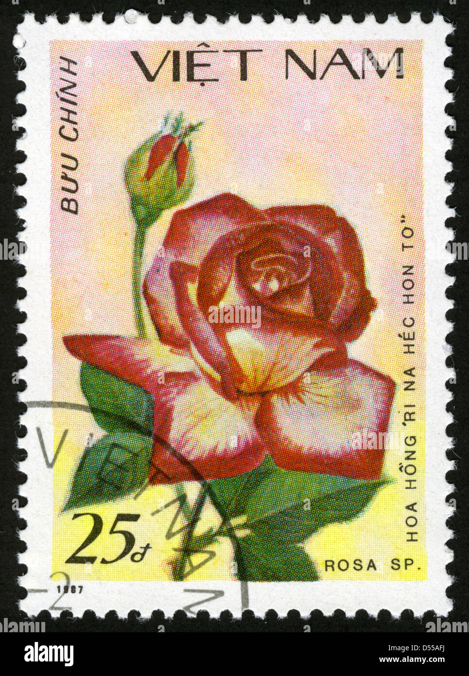 Rose postage stamp vietnam hi-res stock photography and images - Alamy