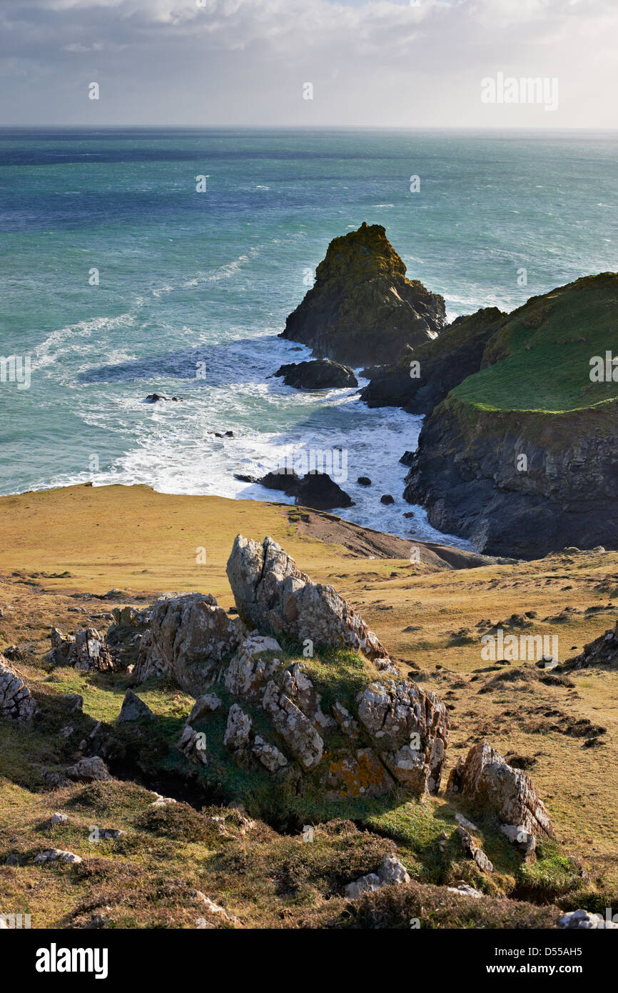 Foreground rocks and rock promontory at Kynance Cove, Cornwall Stock ...