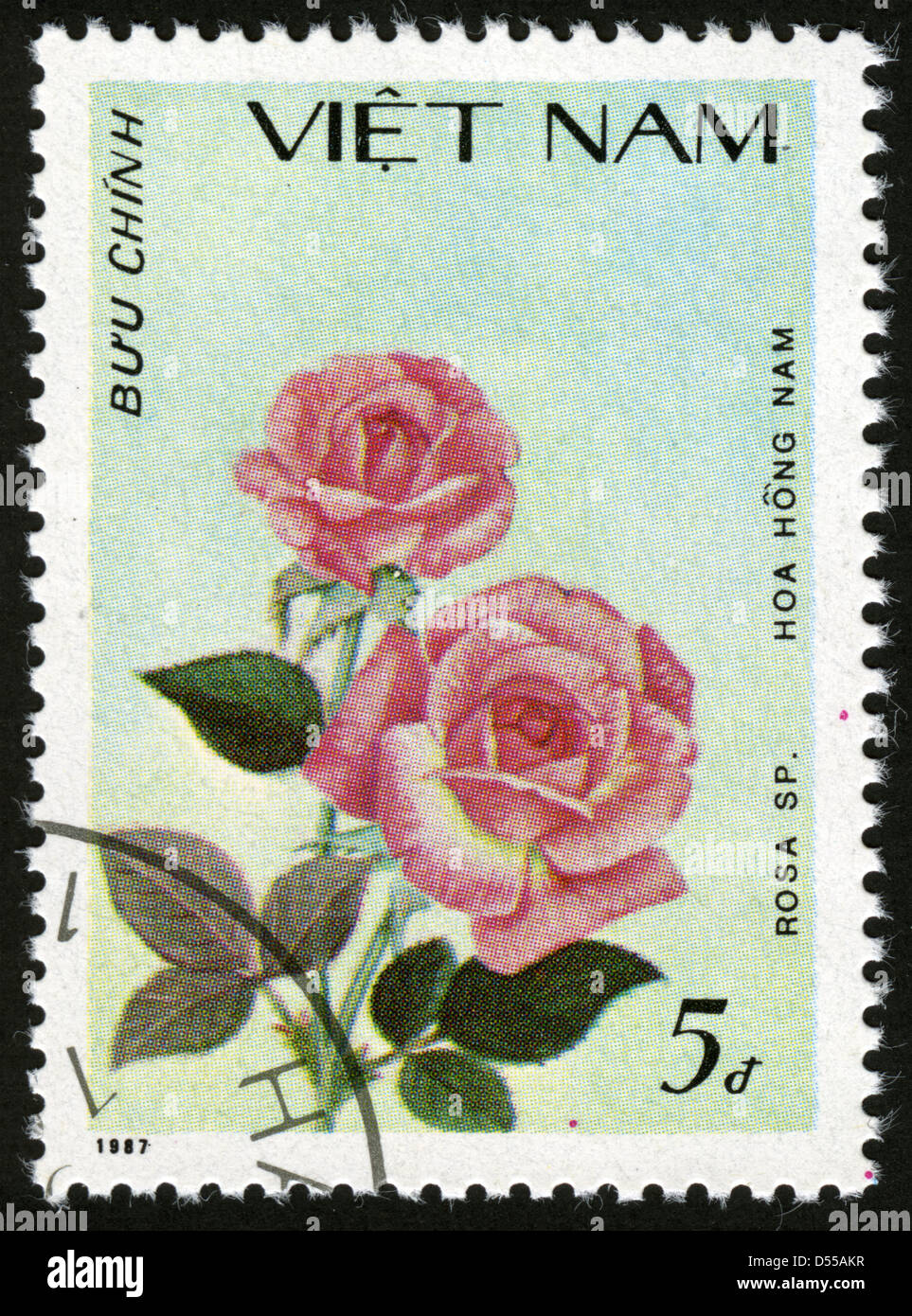 Rose postage stamp vietnam hi-res stock photography and images - Alamy