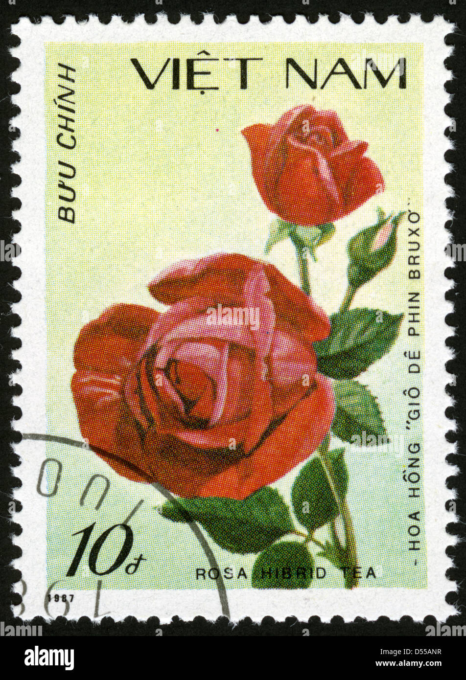 Rose postage stamp vietnam hi-res stock photography and images - Alamy