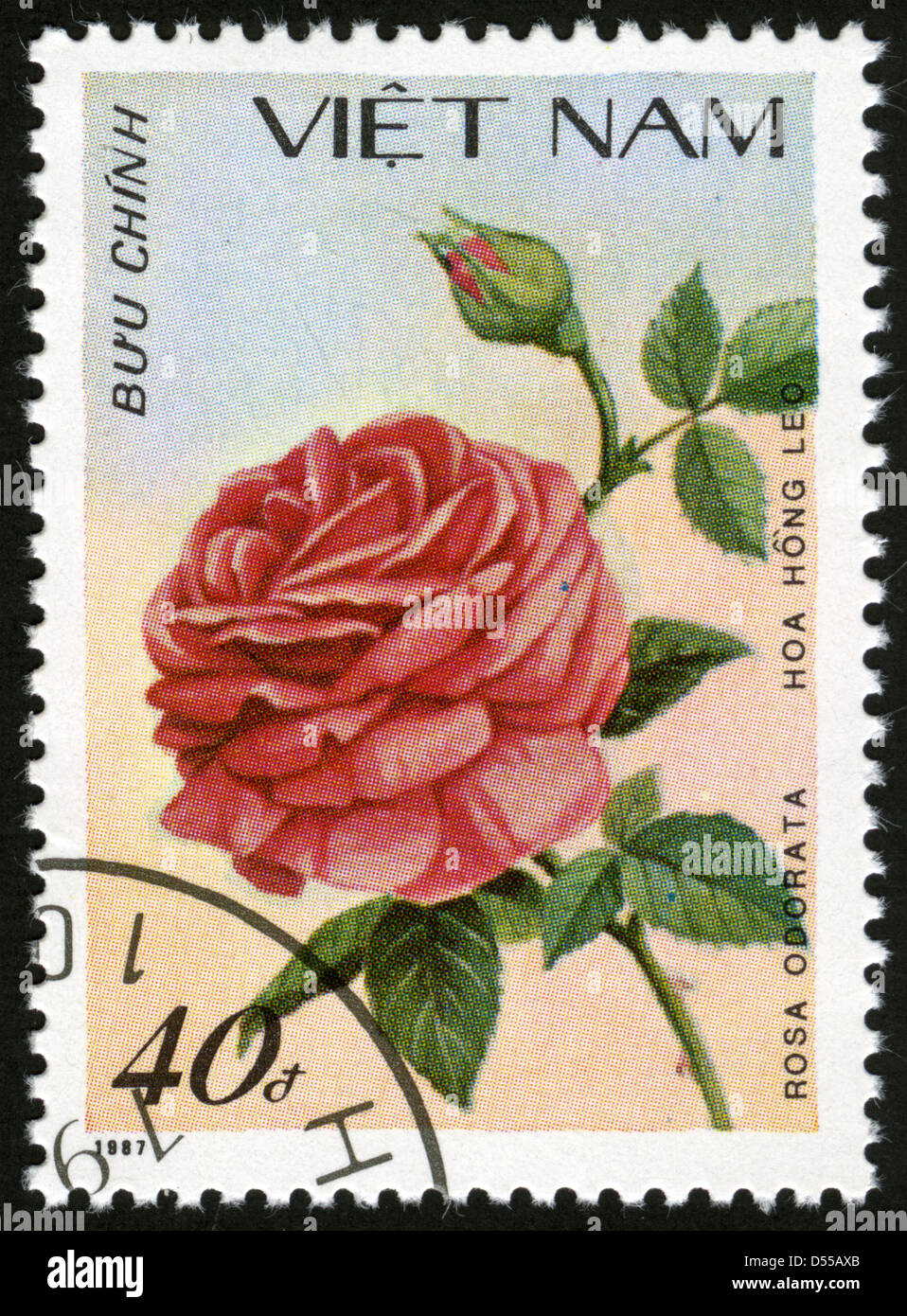 Rose postage stamp vietnam hi-res stock photography and images - Alamy