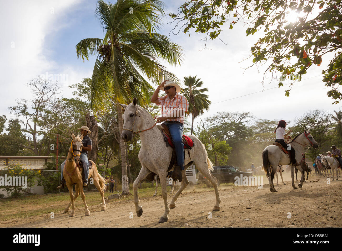 Caballos Costa Rica