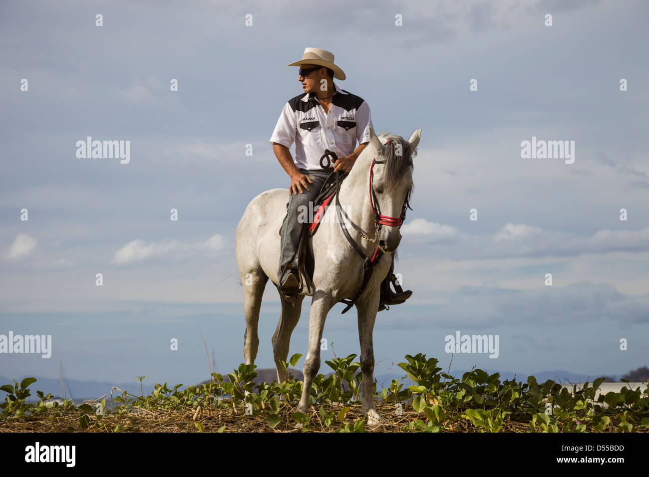 Costa Rican cowboy riding horse on the beach at Playas del Coco ...