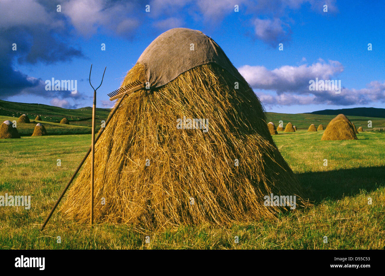 Traditional hayrick pitchfork and rake. Dumfries & Galloway, Scotland ...