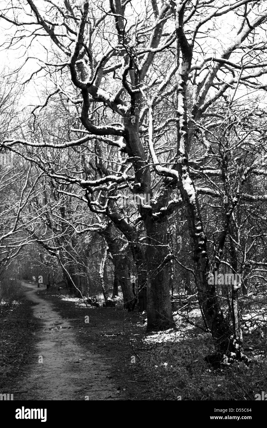 snow winter scene in and around Billinge, Merseyside captured in black ...