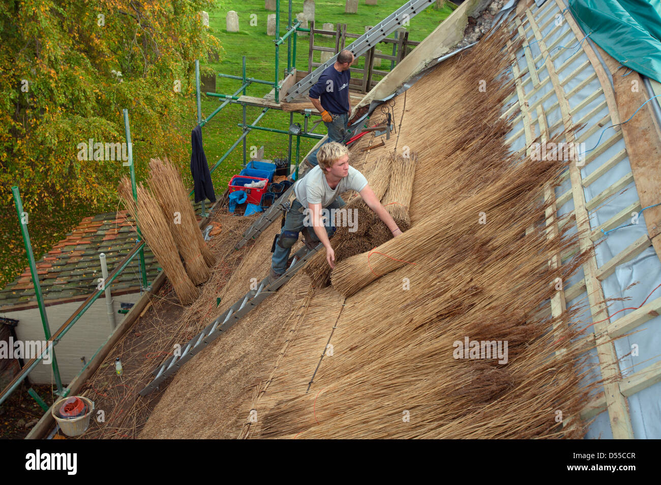 Thatching with Norfolk reed working on an old Cottage in Trunch Village ...