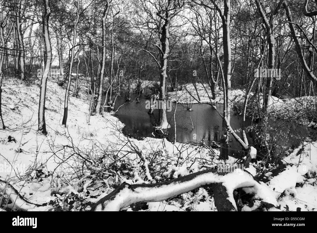 snow winter scene in and around Billinge, Merseyside captured in black ...