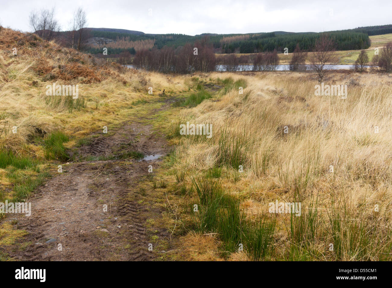 Loch ruthven hi-res stock photography and images - Alamy