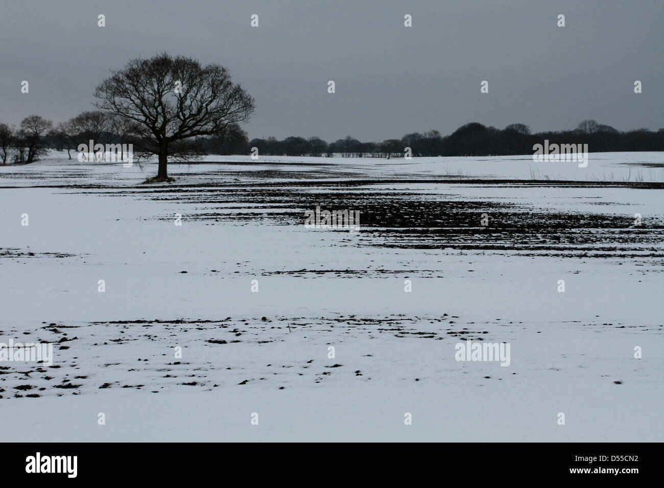 snow winter scene in and around Billinge, Merseyside captured in black ...