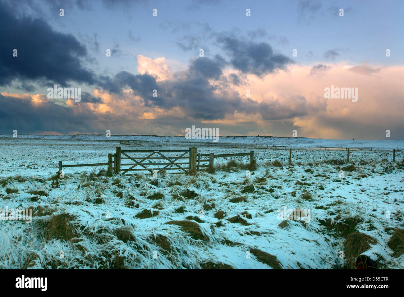 Grazing marshes at Salthouse Norfolk in Winter snow Stock Photo - Alamy
