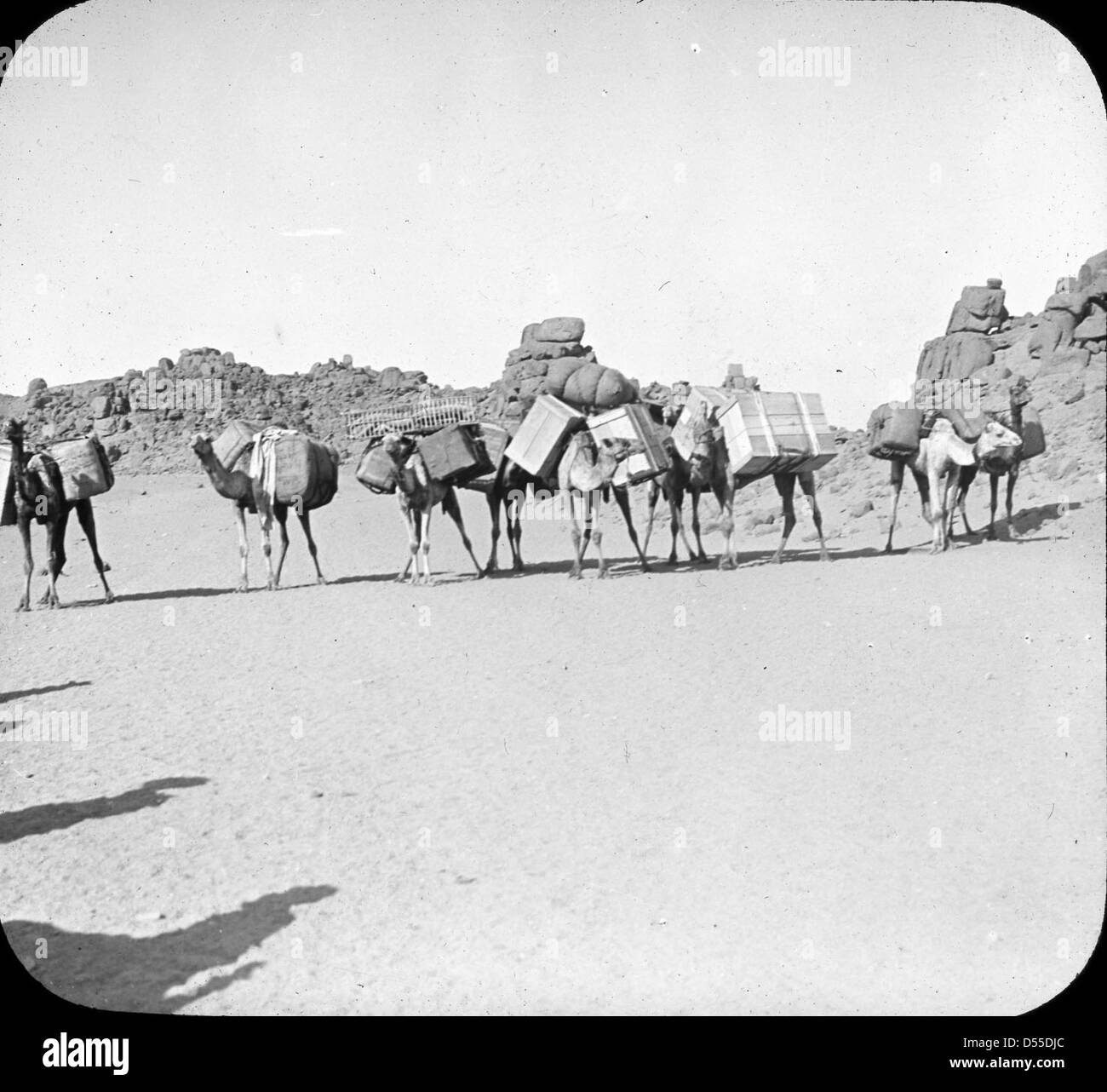 Old egypt caravan hi-res stock photography and images - Alamy