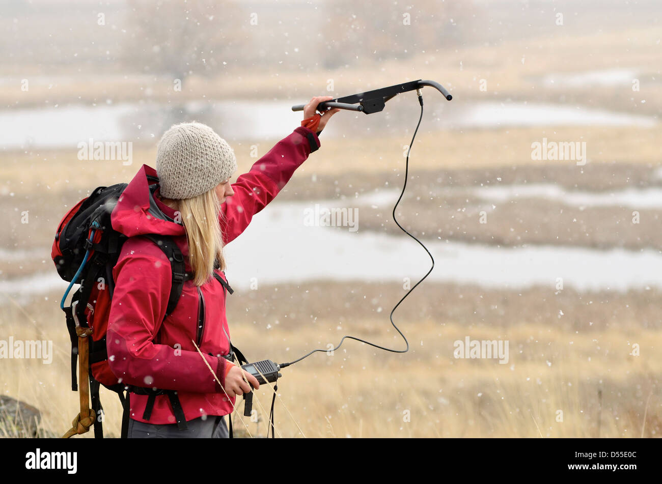 Wildlife tracking hi-res stock photography and images - Alamy