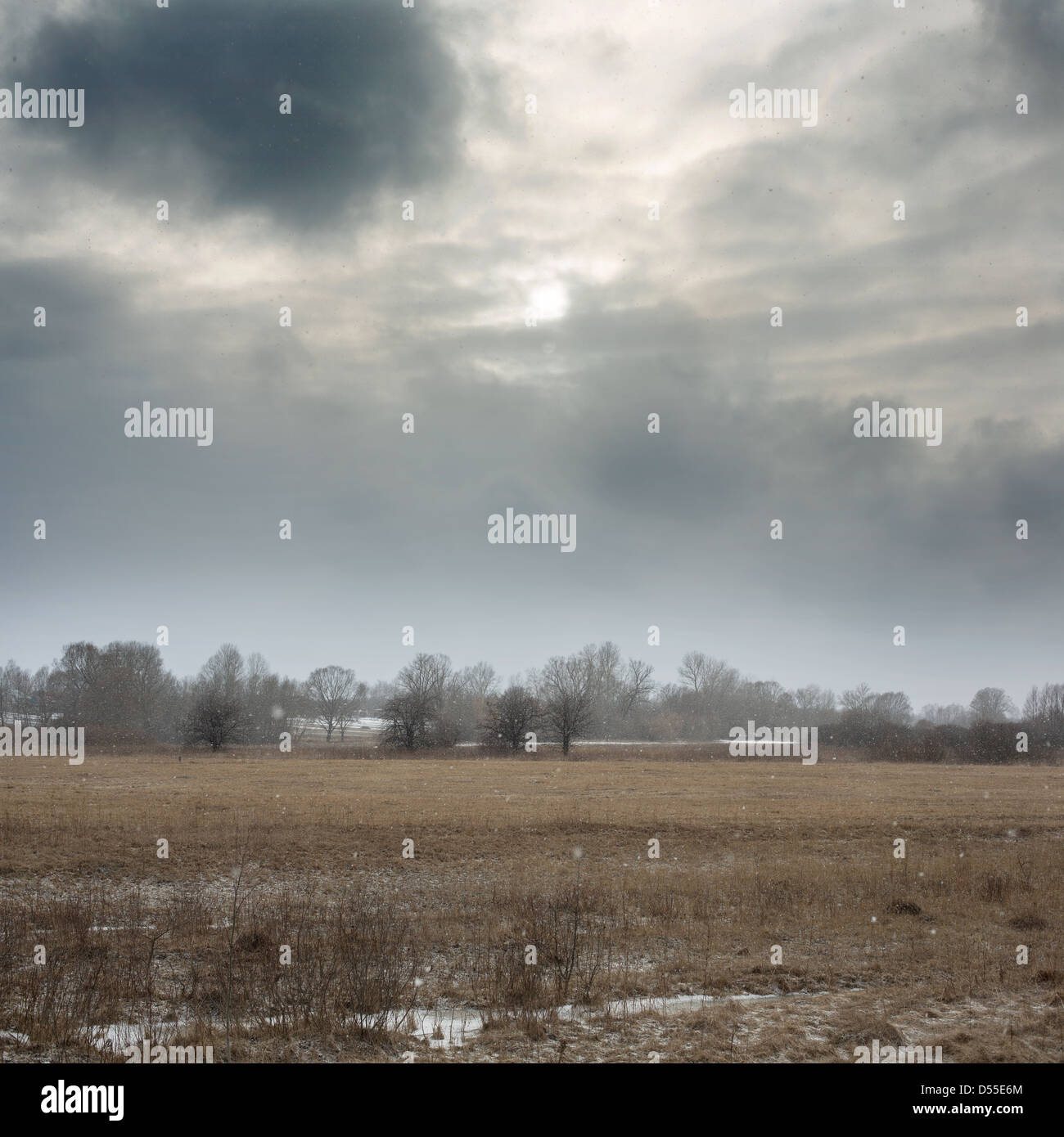 Cold spring morning in hi-res stock photography and images - Alamy
