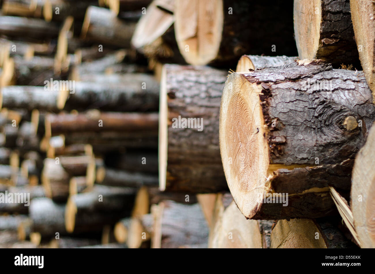 wood pile background, focus on right tree trunk Stock Photo - Alamy