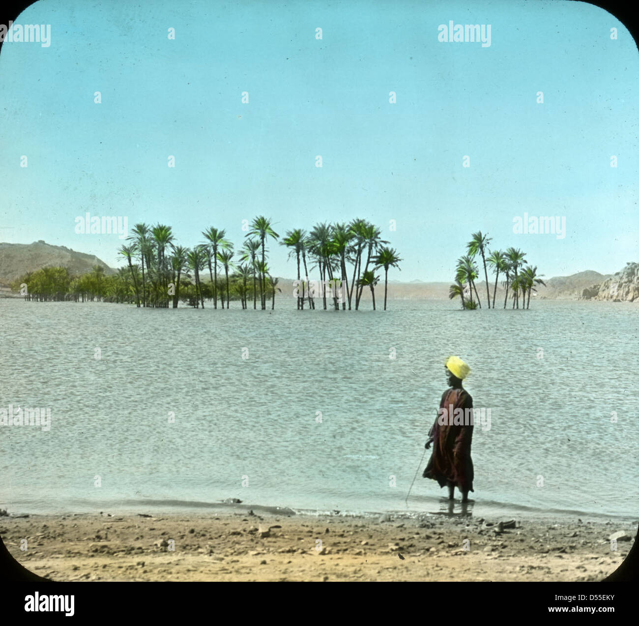 This 1908 photograph shows partially submerged palm trees near the ...