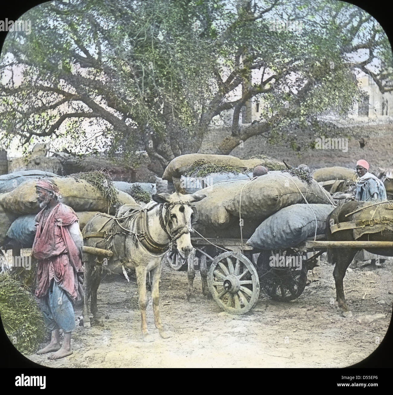 A photograph of the Onion Bazaar in Old Cairo, Egypt, depicting a ...