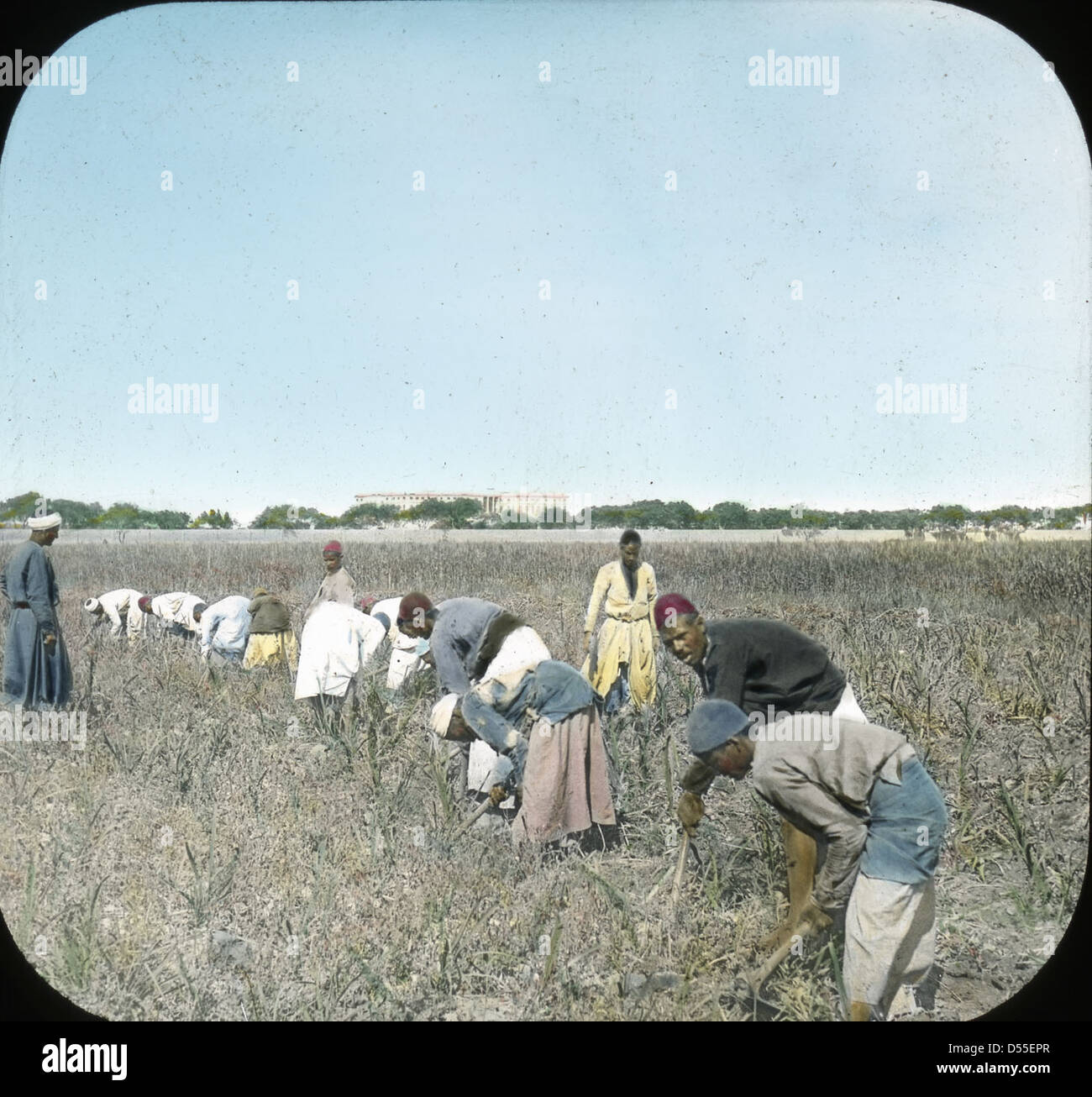 Ancient egyptian farmers hi-res stock photography and images - Alamy