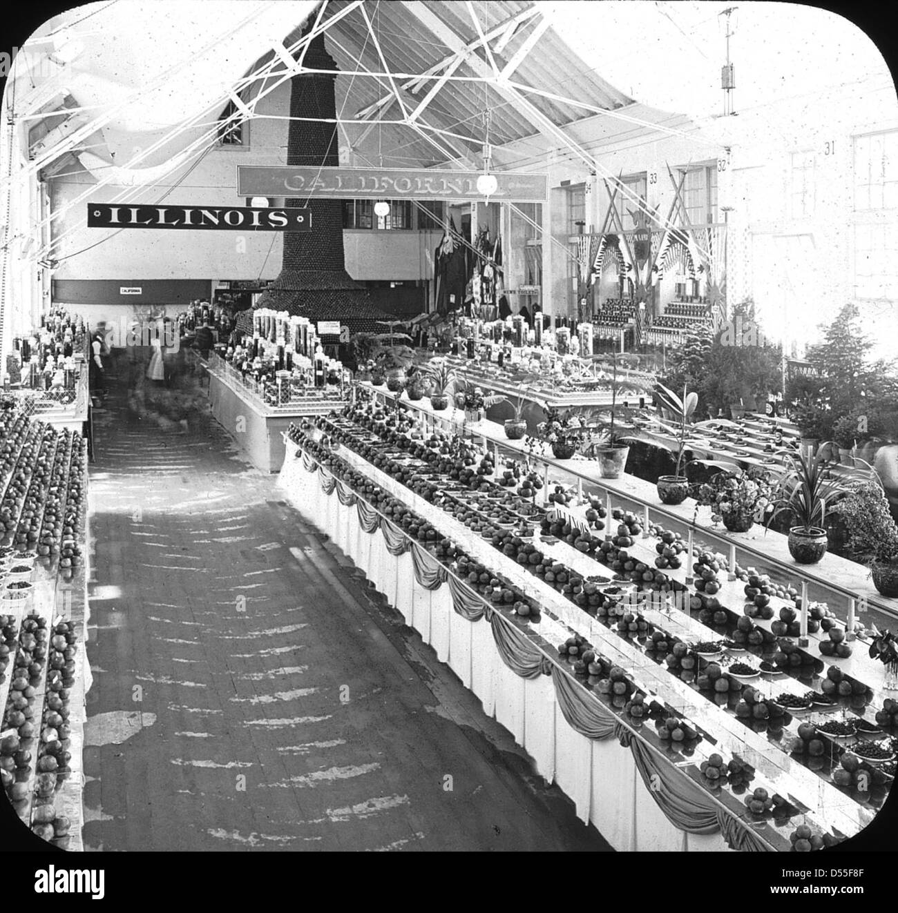 The Horticultural Building at the 1893 World's Columbian Exposition in ...
