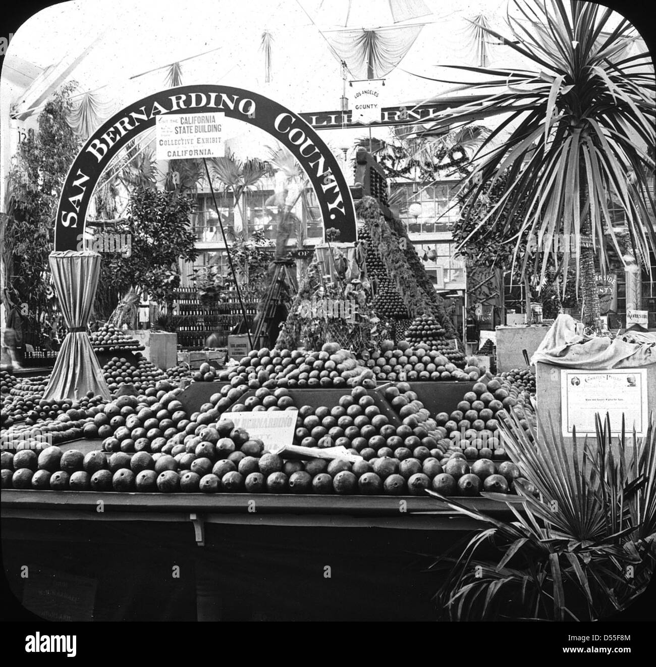 The Horticultural Building at the 1893 World's Columbian Exposition in ...