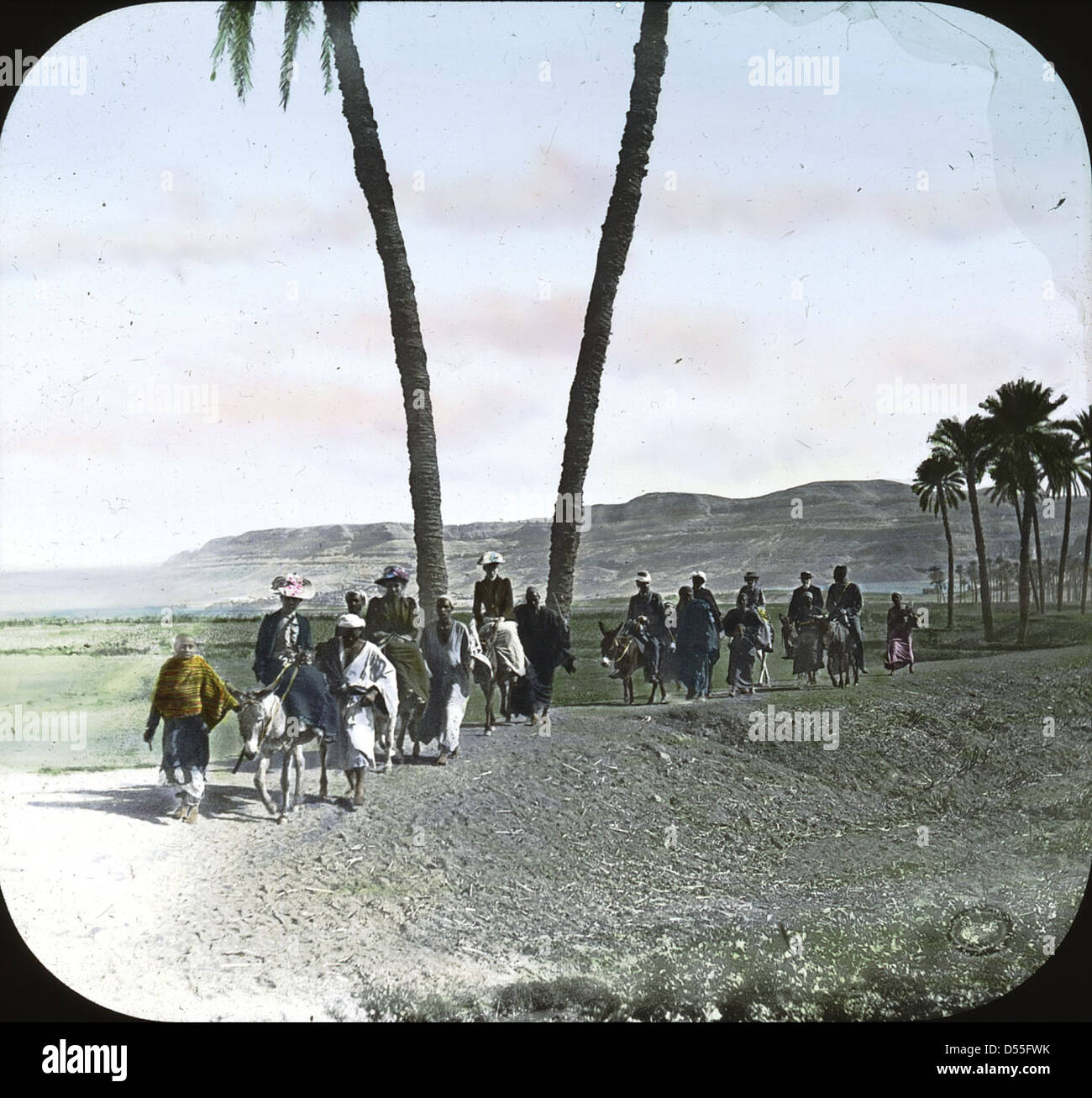 A photograph from Egypt showing a caravan of donkeys in Assiut ...