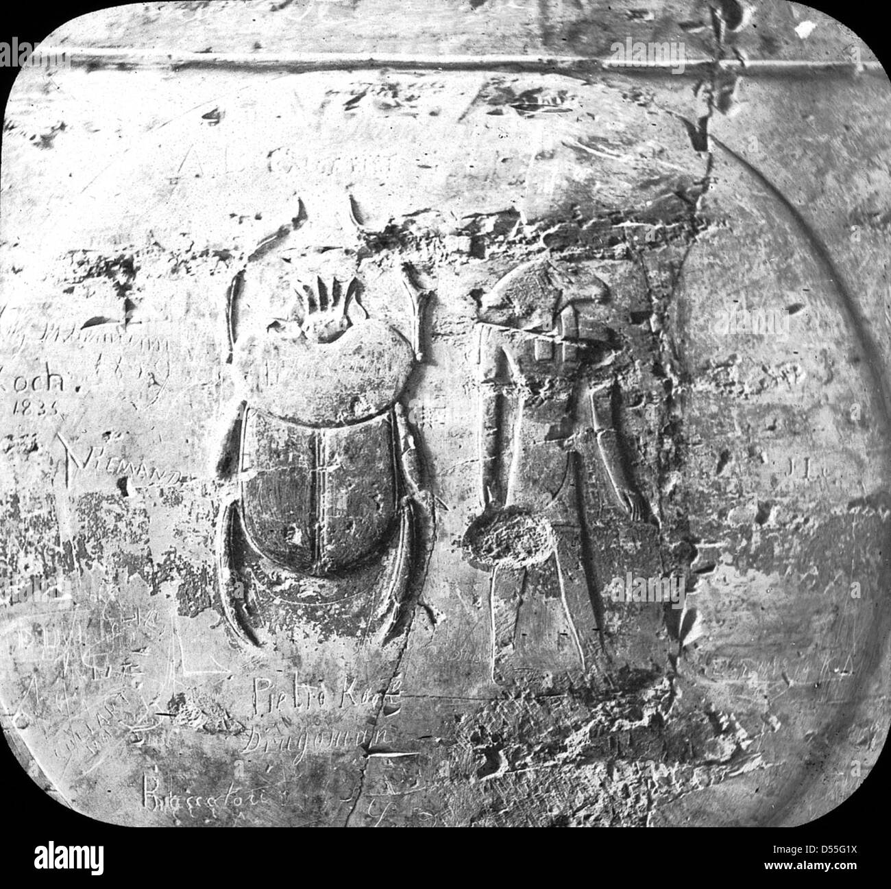 Scarabs ancient egypt Black and White Stock Photos & Images - Alamy