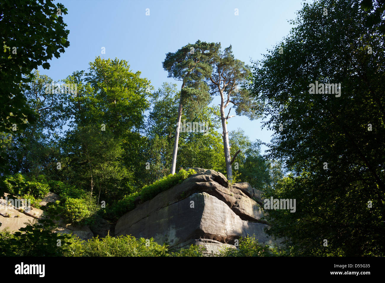 High rocks tunbridge wells hi-res stock photography and images - Alamy