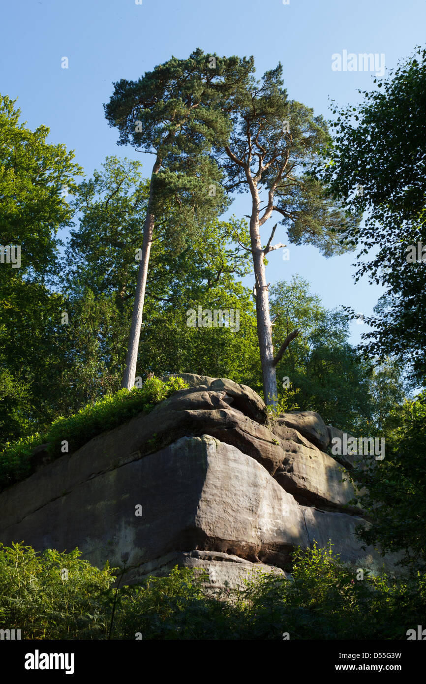 The rocks tunbridge wells hi-res stock photography and images - Alamy
