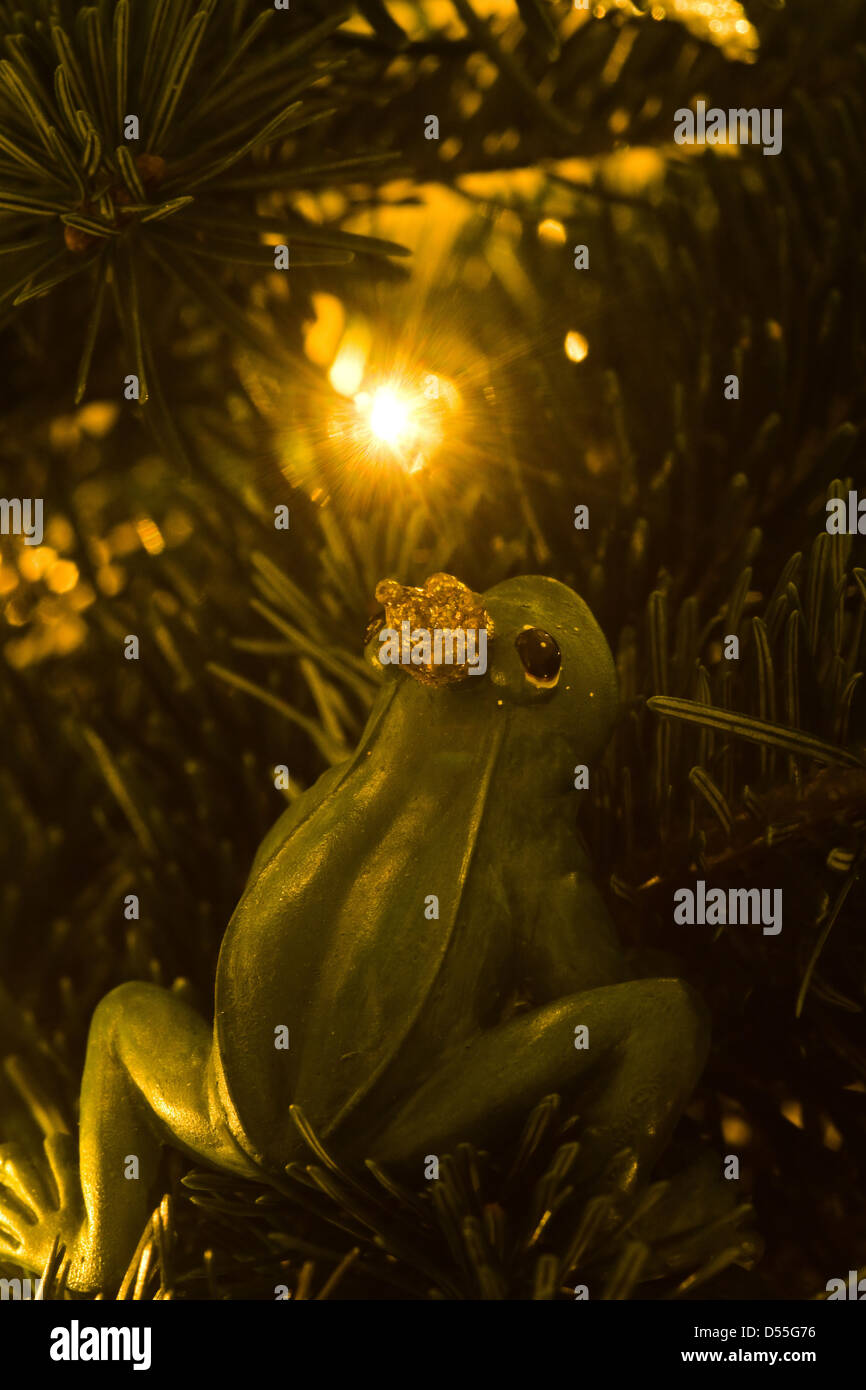 Fairy tree frog hi-res stock photography and images - Alamy