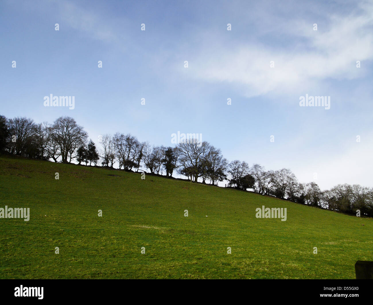 Plain fertile field hi-res stock photography and images - Alamy