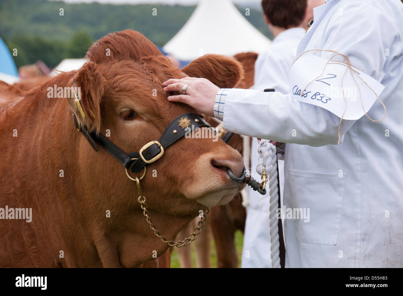 Kilnsey show hi-res stock photography and images - Alamy