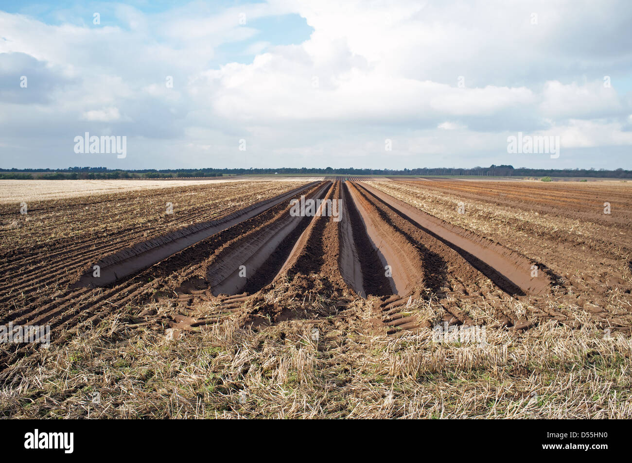 Agriculture uk hi-res stock photography and images - Alamy