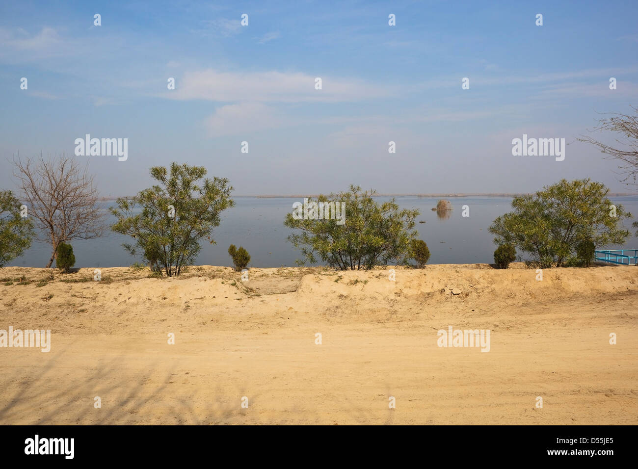 A sandy track with shrubs in front of a wetland nature reserve at ...