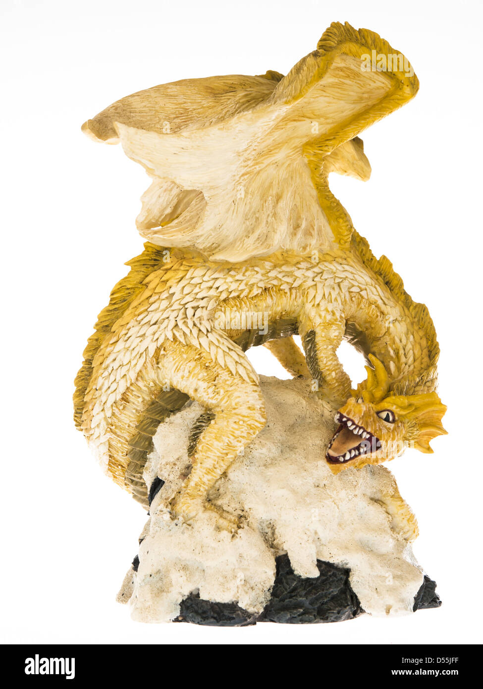 A fly on rock Cut Out Stock Images & Pictures - Alamy