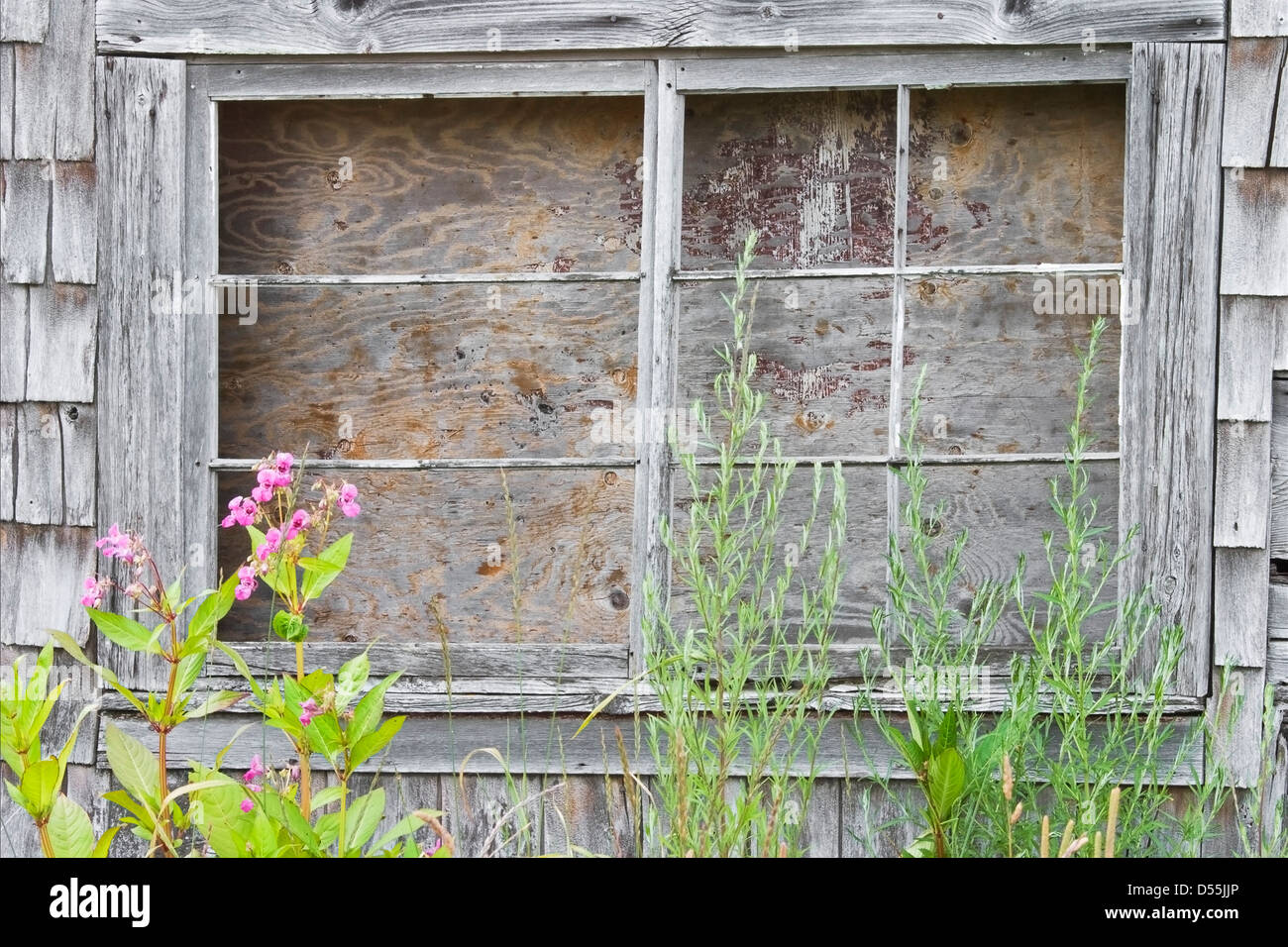 Abandoned old weathered building in Maine Stock Photo - Alamy