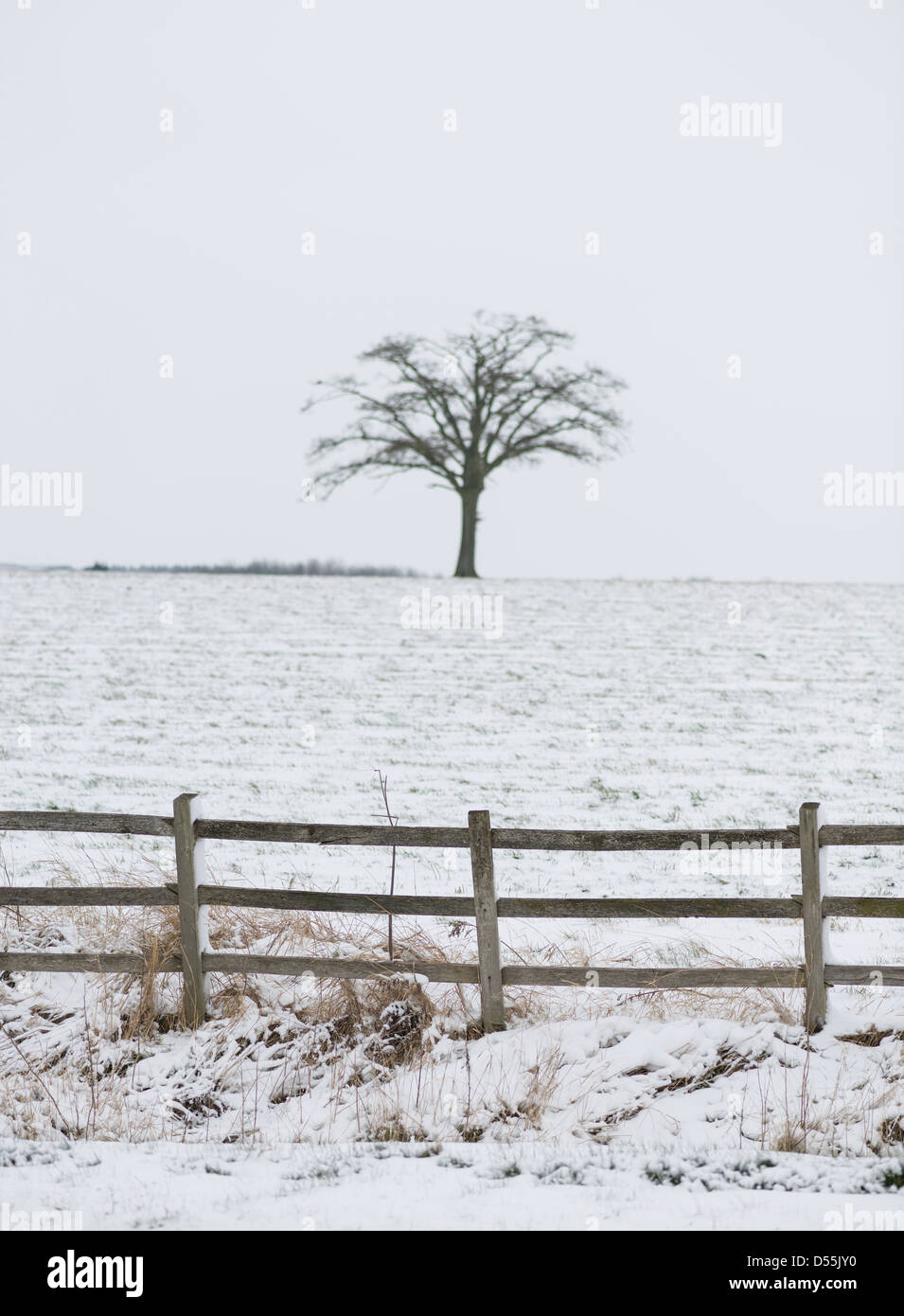 Lone tree in snow covered winter landscape hi-res stock photography and ...