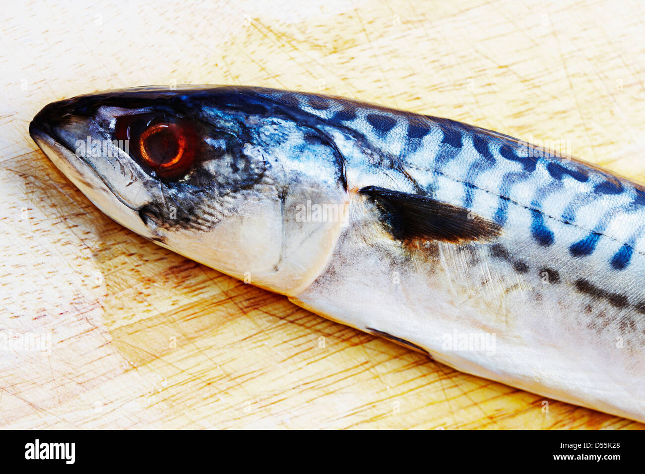 Close up chopping fish hi-res stock photography and images - Alamy
