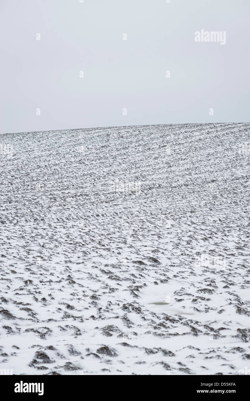 Snow covered field, Warwickshire, England, UK Stock Photo - Alamy