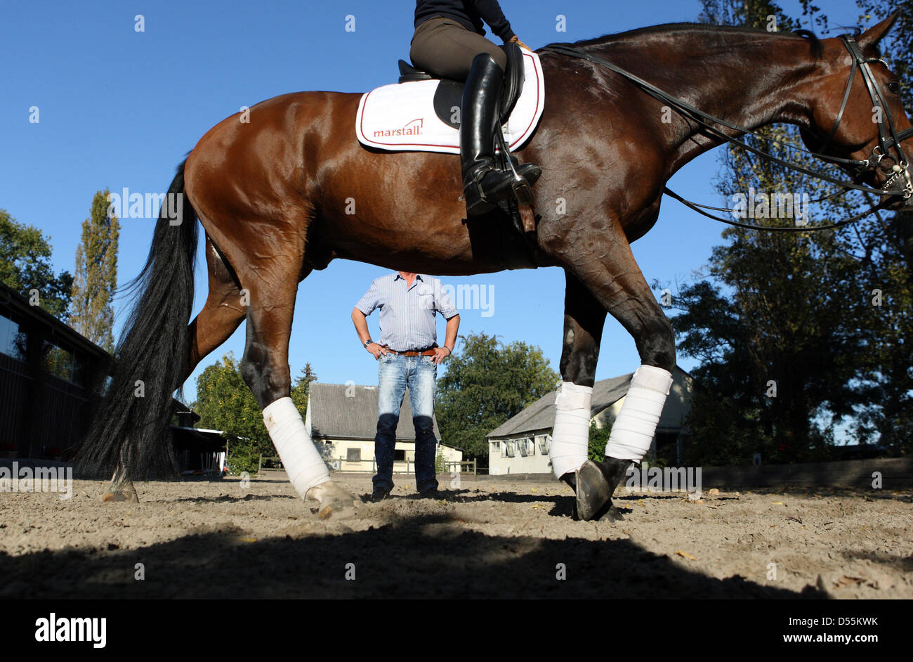 Riding lessons hi-res stock photography and images - Alamy