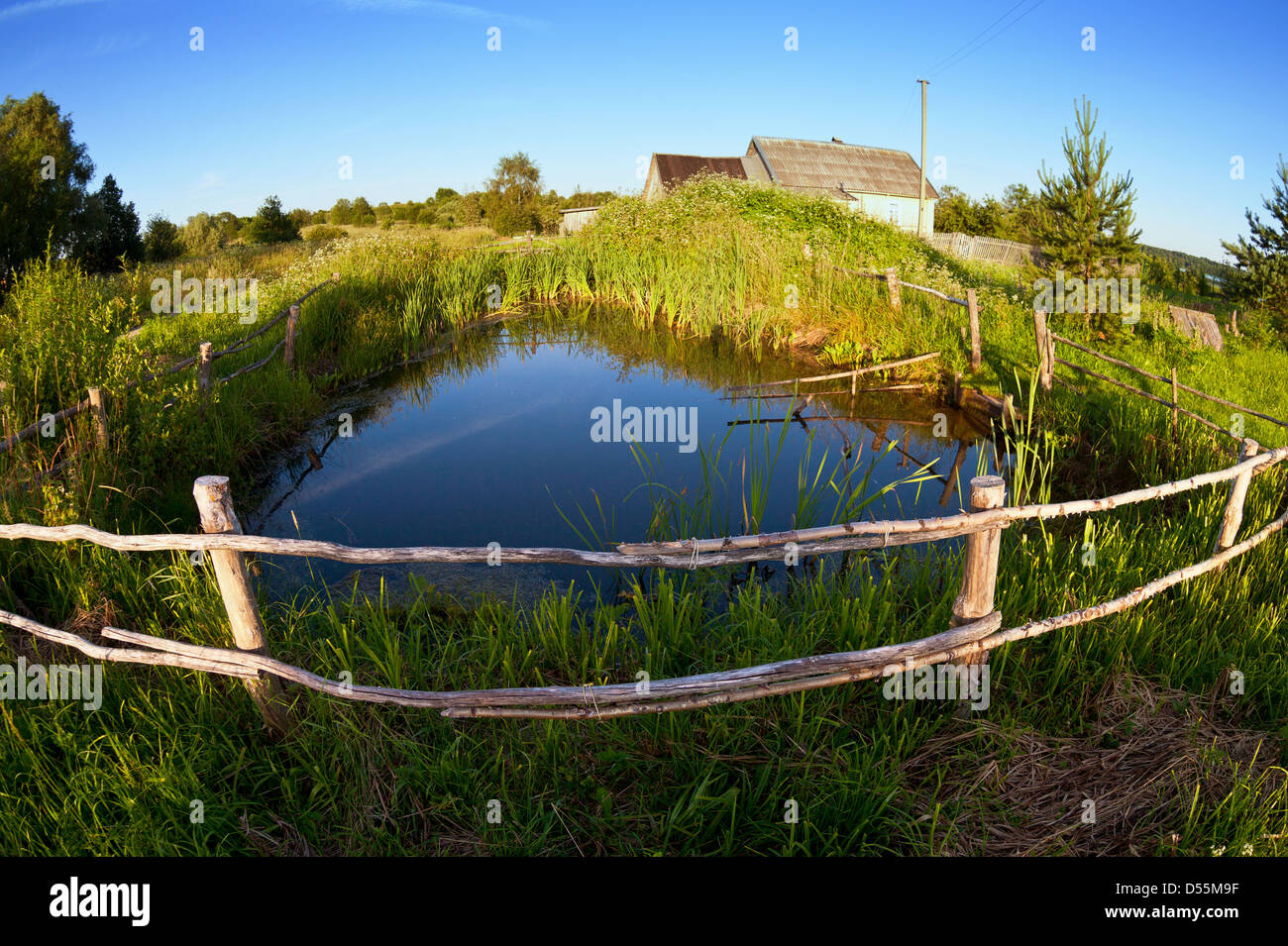 Small pond at the village in summer day Stock Photo - Alamy