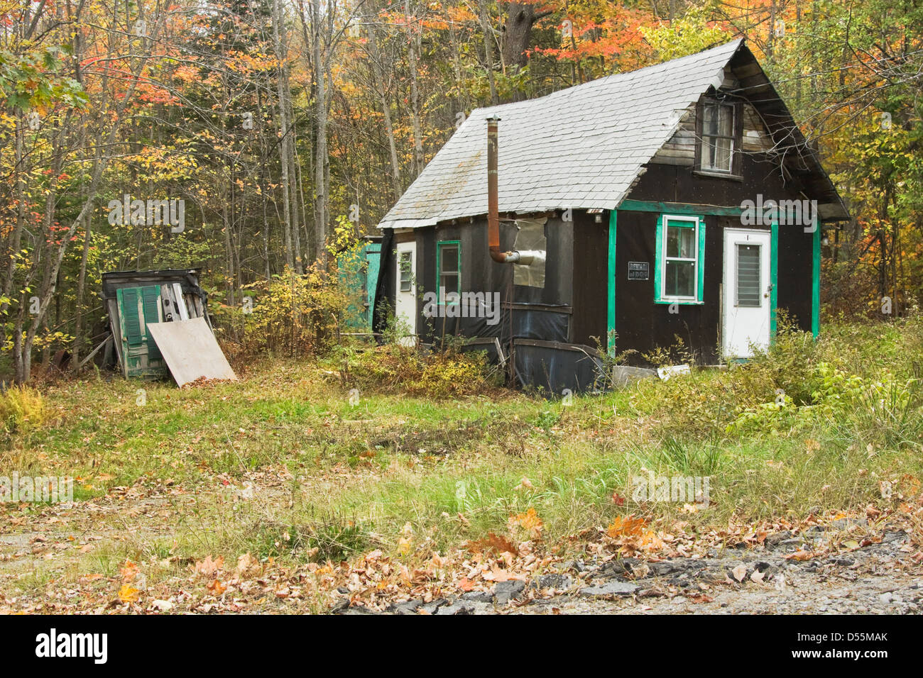 Old tar paper shack in the woods Stock Photo - Alamy
