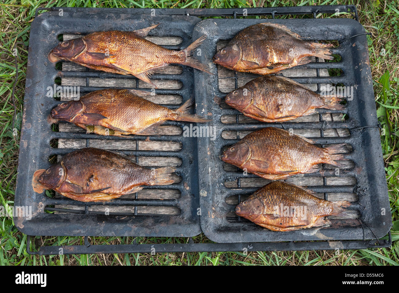 Just smoked fresh fish caught in Russian river Stock Photo - Alamy