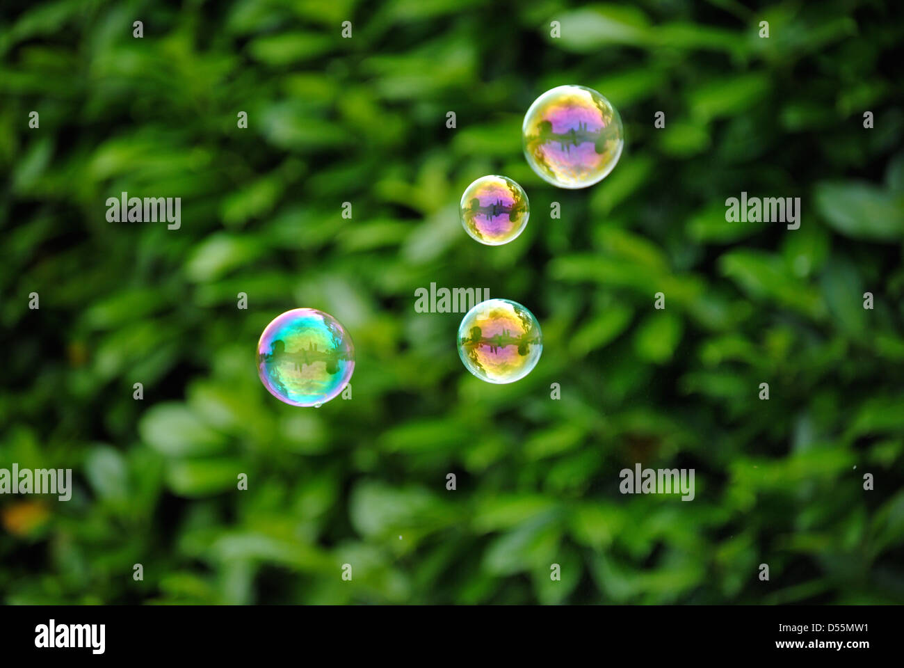 Soap bubbles floating in the air Stock Photo - Alamy