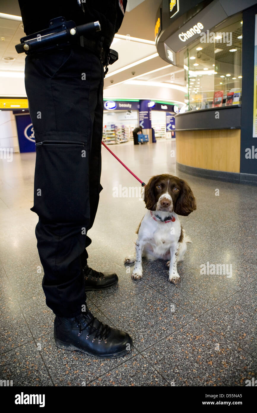Police dog uk hi-res stock photography and images - Alamy