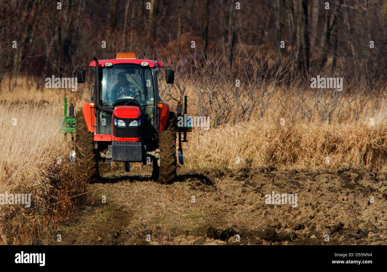Tractor plowing field in autumn Stock Photo - Alamy