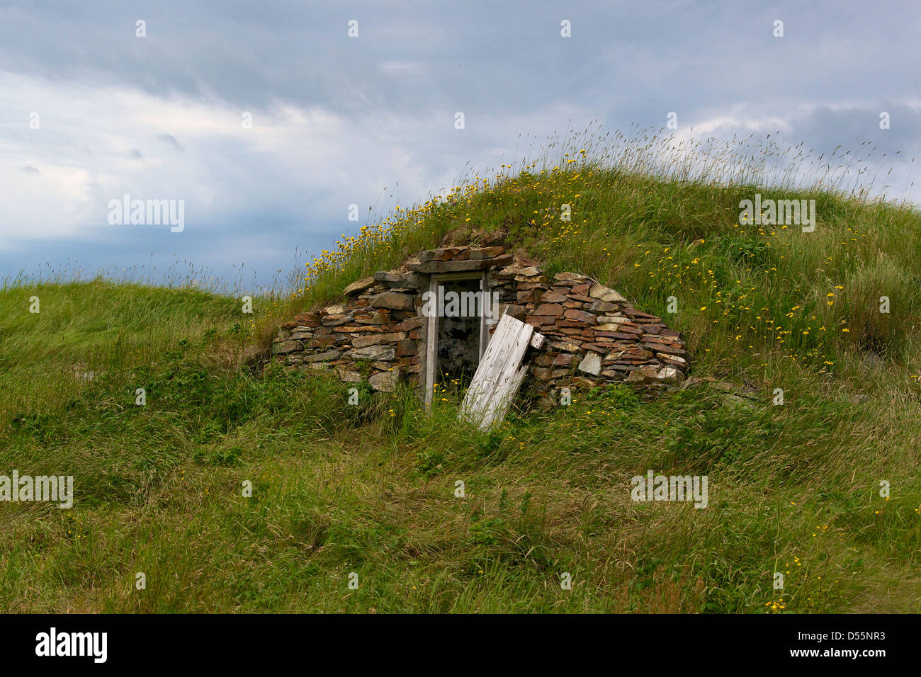 Root cellar in Elliston Newfoundland the "Root cellar capital of the ...