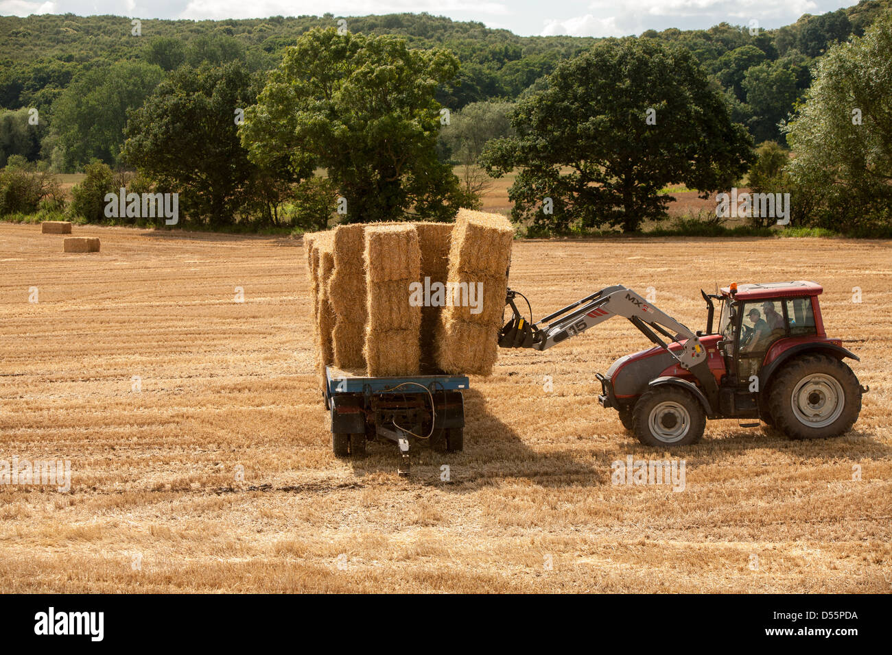 Tractor loading feed straw bales hi-res stock photography and images ...