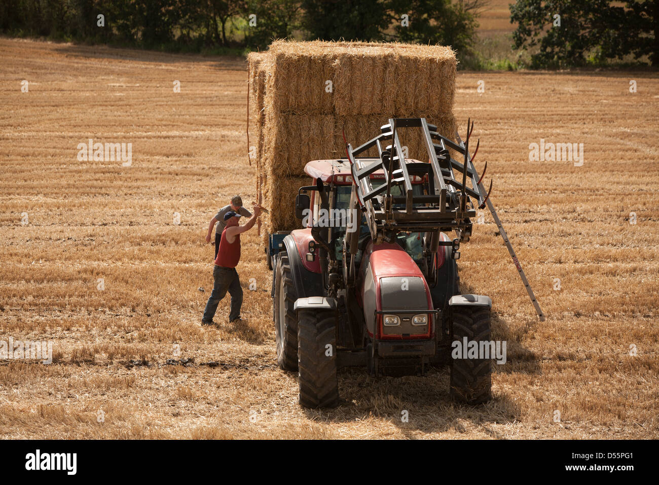 Two farm workers securing a load of bales on to a trailer Stock Photo ...