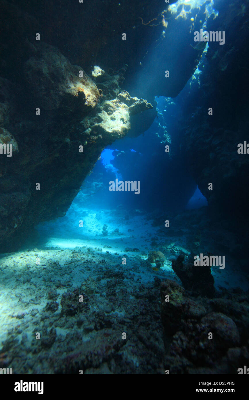 Underwater cave in a coral reef in the Red Sea Stock Photo - Alamy